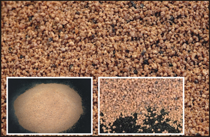 Mycoprotein — Streatham